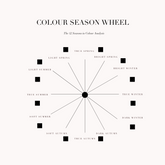 Personal Seasonal Colour Analysis Online | Virtual Color Analysis